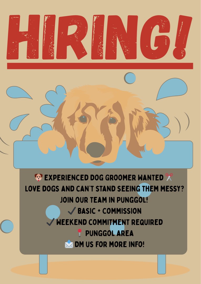 Dog Groomer Wanted - Punggol Area, Pet Supplies, Health & Grooming ...