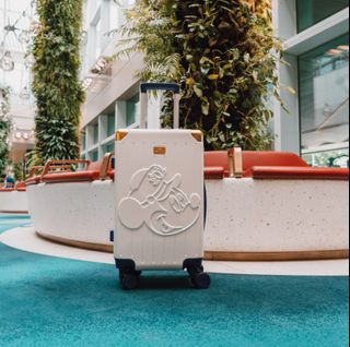 Disney cruise line mini luggage For Sale | Luggage | Carousell Singapore