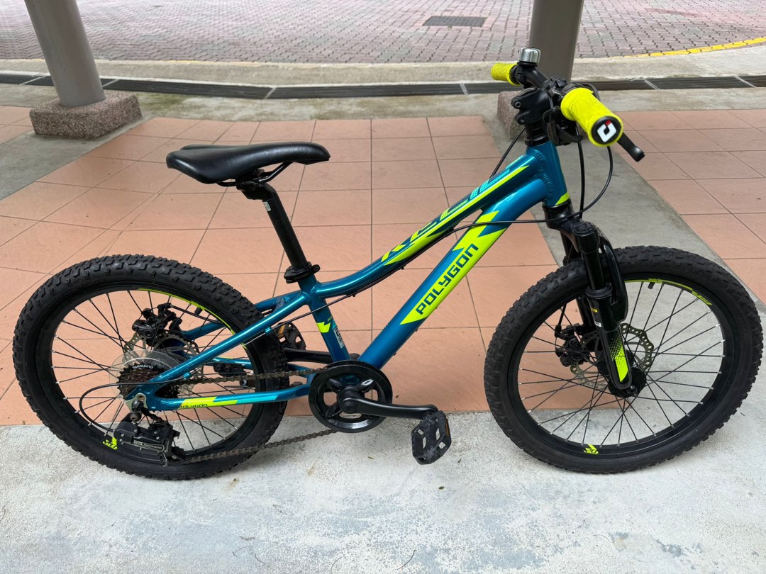 Polygon Relic 20 Kids Mountain Bike, Sports Equipment, Bicycles & Parts ...