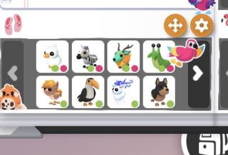 BUYING ADOPT ME PETS, Video Gaming, Gaming Accessories, In-Game ...