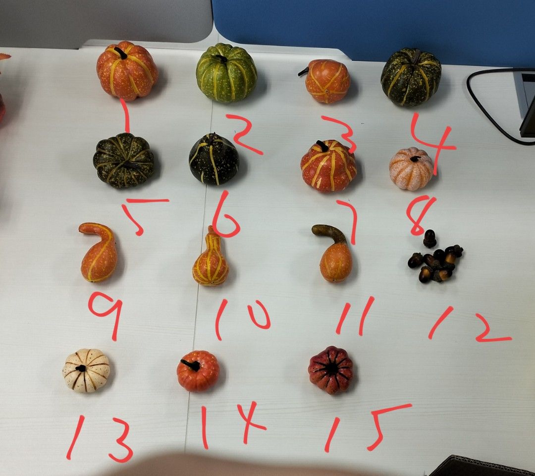 FOC Fall deco - Assorted Decorative Gourds, Furniture & Home Living ...