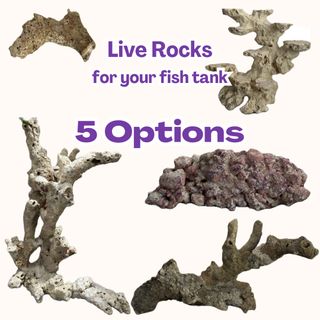 A bag of marine live rock, Pet Supplies, Homes & Other Pet Accessories ...