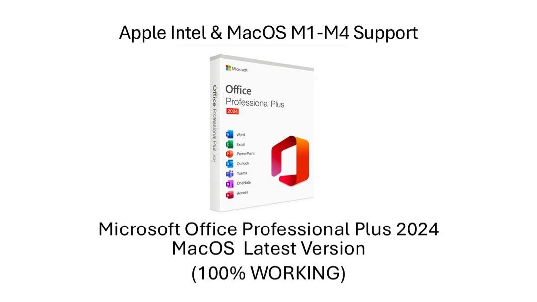 Microsoft office professional plus 2024, Computers & Tech, Parts ...