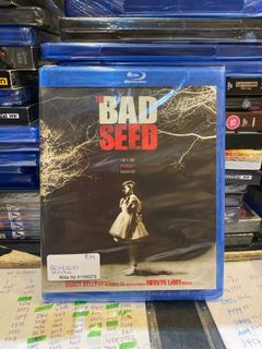 Bad Bishop by L.J. Shen, Hobbies & Toys, Books & Magazines, Fiction ...