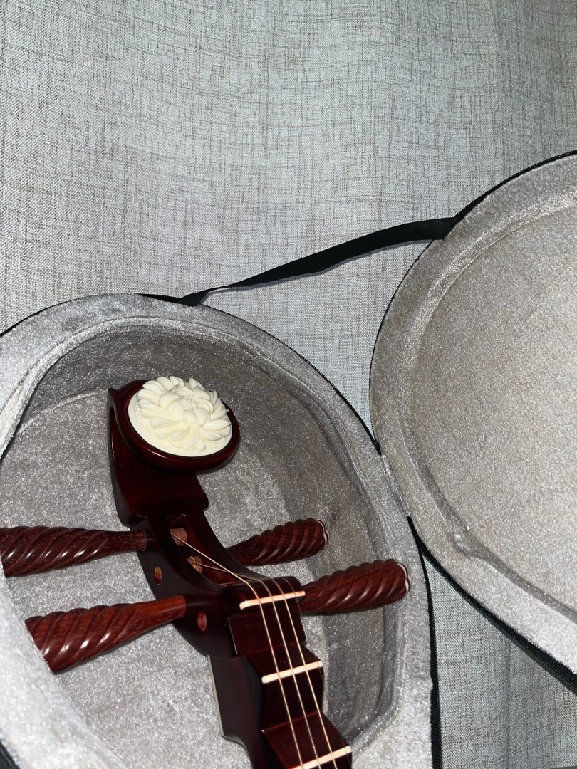 语弹花梨琵琶 Yutan Rosewood Pipa, Hobbies & Toys, Musical Instruments on ...