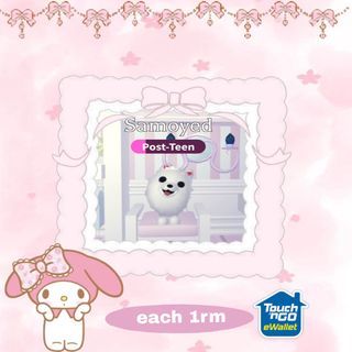 Adopt me samoyed For Sale | Carousell Malaysia