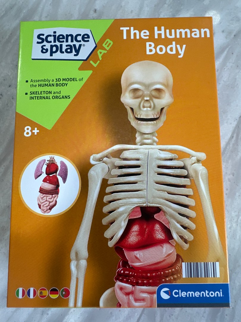 Clementoni Science & Play The Human Body Lab, Hobbies & Toys, Toys ...