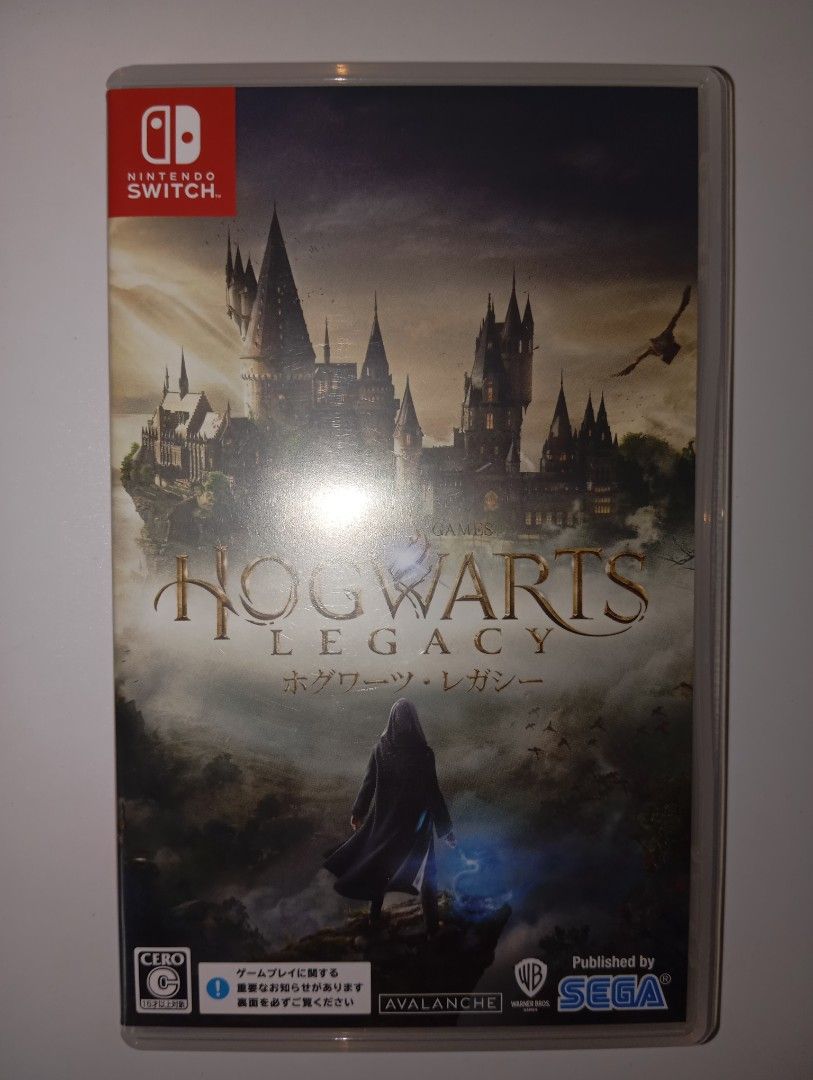 HOGWARTS AND POKEMON LEGENDS ARCEUS, Video Gaming, Video Games ...