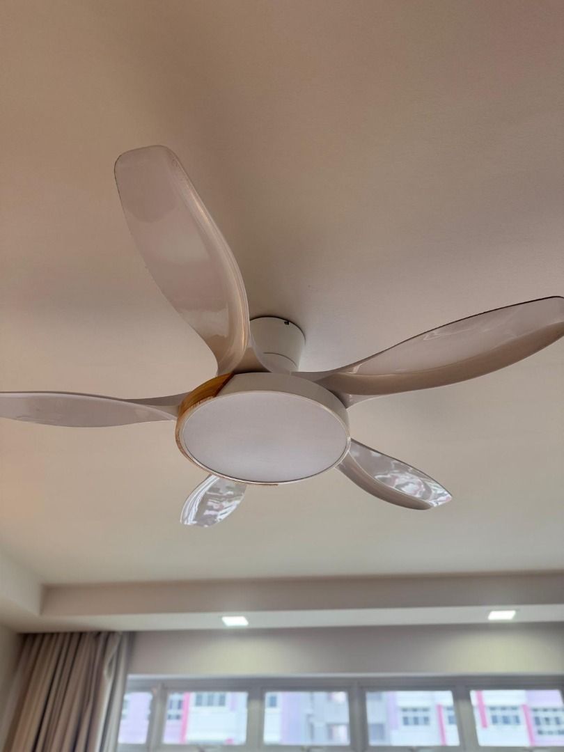 MUJI Japandi DC Ceiling Fan | Tri-Tone | 5 Blades | 6 Speed, Furniture ...