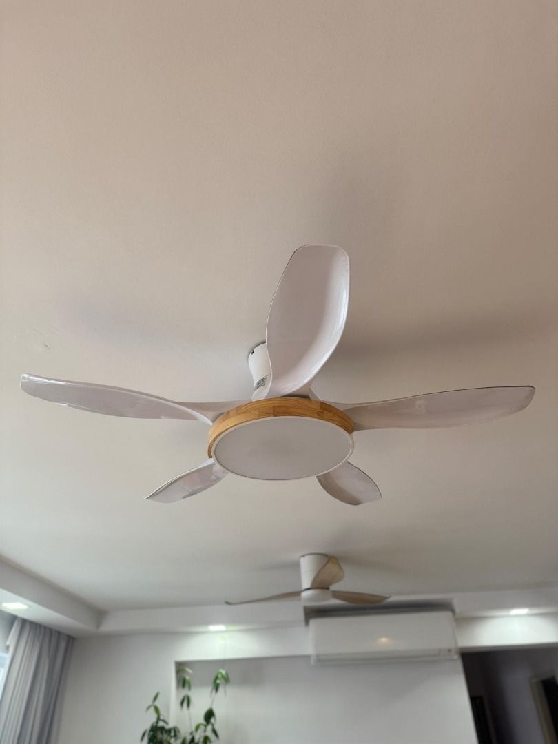 MUJI Japandi DC Ceiling Fan | Tri-Tone | 5 Blades | 6 Speed, Furniture ...