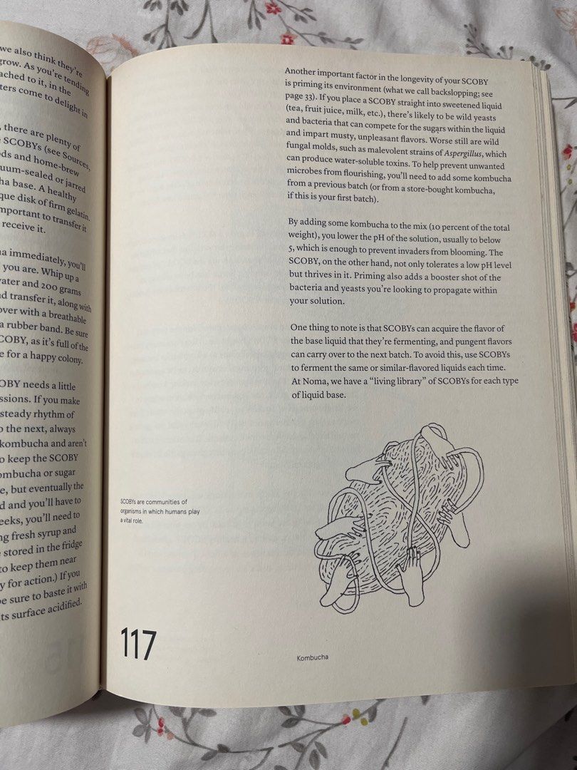 The Noma Guide to Fermentation Cookbook, Hobbies & Toys, Books ...