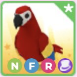 adopt me NFR parrot, Video Gaming, Gaming Accessories, In-Game Products ...