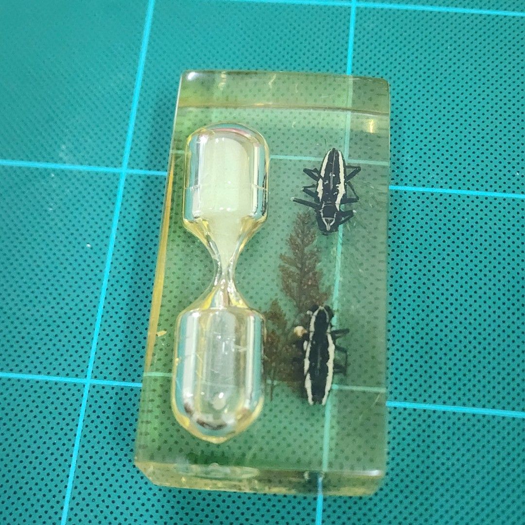 Lucite Timer with beetles / Bugs Clear Lucite With Green Beetles And ...