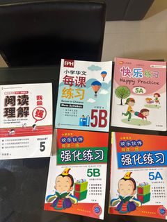 Chinese Assessment Book P5A, Hobbies & Toys, Books & Magazines ...