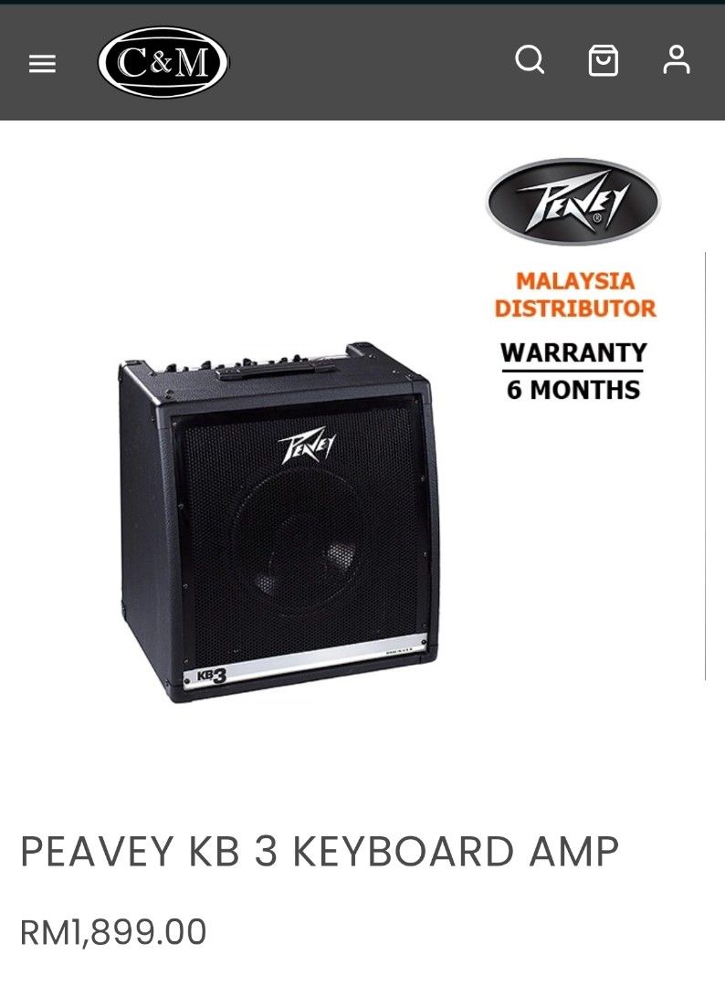 Peavey KB 3 Keyboard Amplifier, Hobbies & Toys, Music & Media, Musical ...