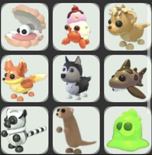 Adopt Me Money & Pets | Roblox, Video Gaming, Gaming Accessories, In ...