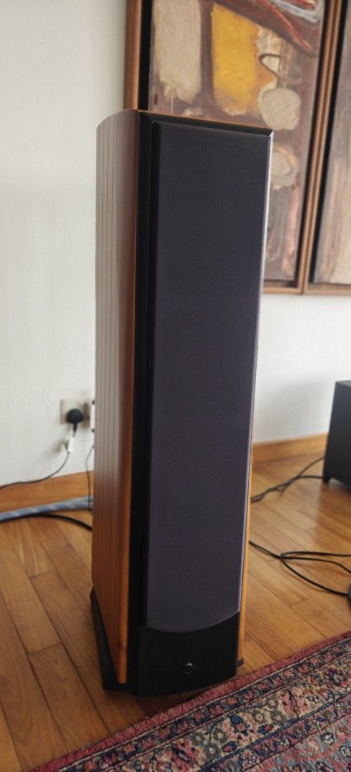 SWANS M6 Floorstanding Speakers, Audio, Soundbars, Speakers ...