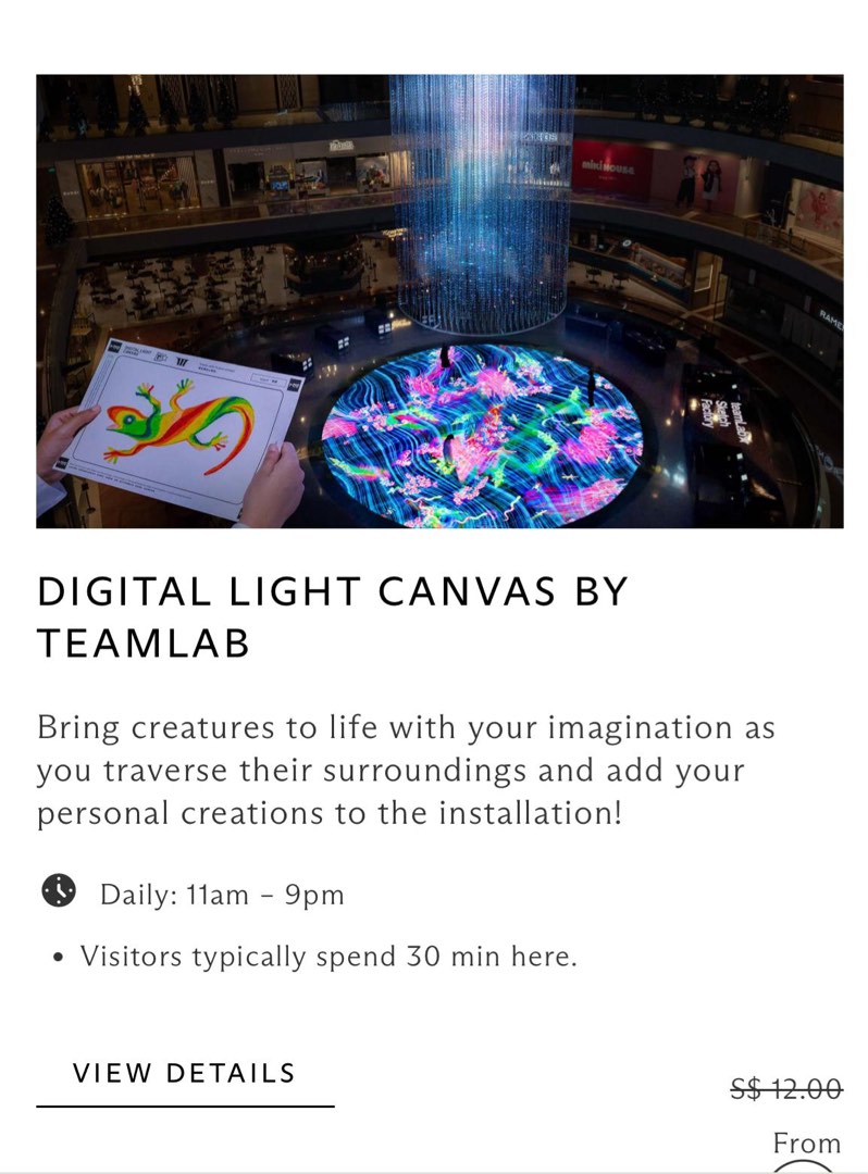 Digital Light Canvas by TeamLab - Art Installation, Hobbies & Toys, Art ...