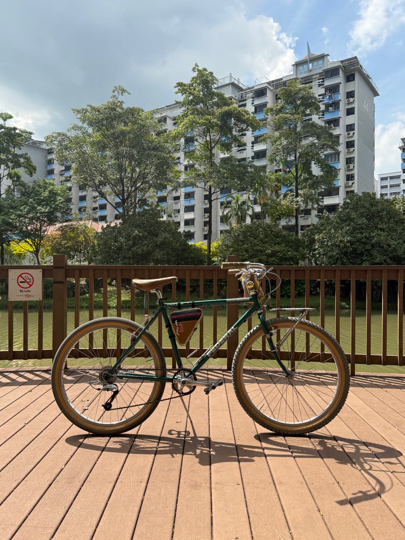 FEDERAL Street Cat Retro Vintage MTB, Sports Equipment, Bicycles ...