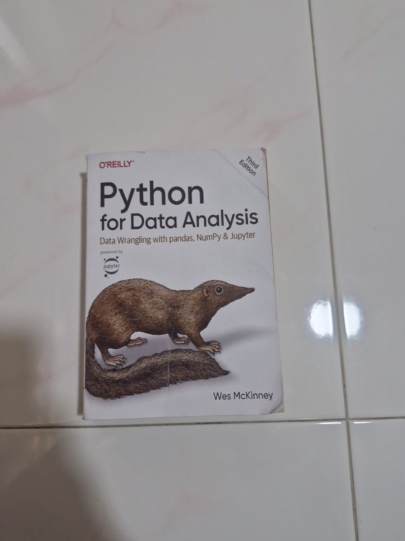 Python for Data Analysis, 3rd Edition, Hobbies & Toys, Books ...