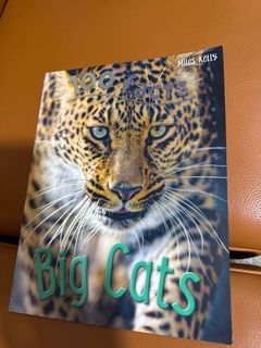 100 Facts- Spiders, Hobbies & Toys, Books & Magazines, Children's Books ...