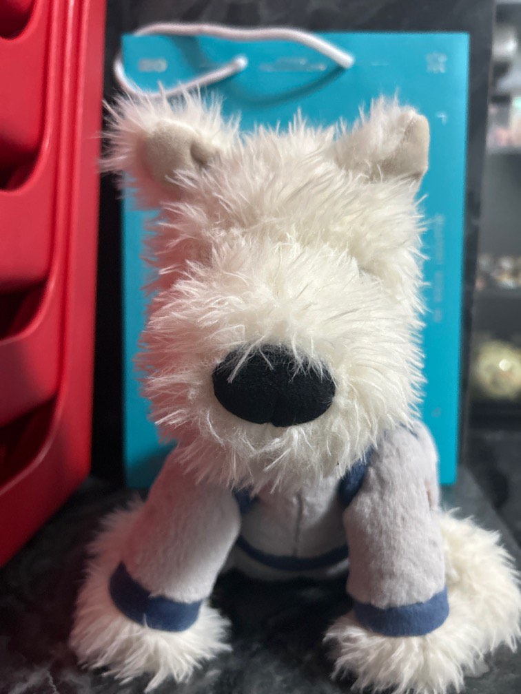 JELLYCAT X SPACE SEOUL EXCLUSIVE , Hobbies & Toys, Toys & Games on ...