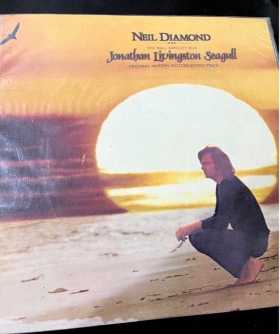 POP ROCK COLLECTOR - NEIL DIAMOND THE HALL BARTLETT FILM Jonathan ...