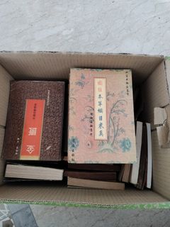 Vintage Chinese Bible, Hobbies & Toys, Books & Magazines, Religion ...