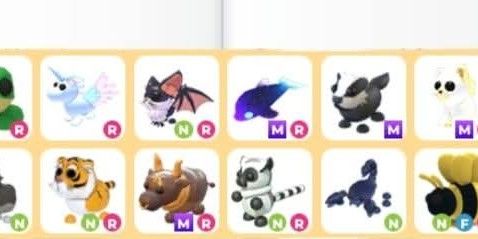 ADOPT ME BUNDLE PETS | ROBLOX, Video Gaming, Gaming Accessories, In ...