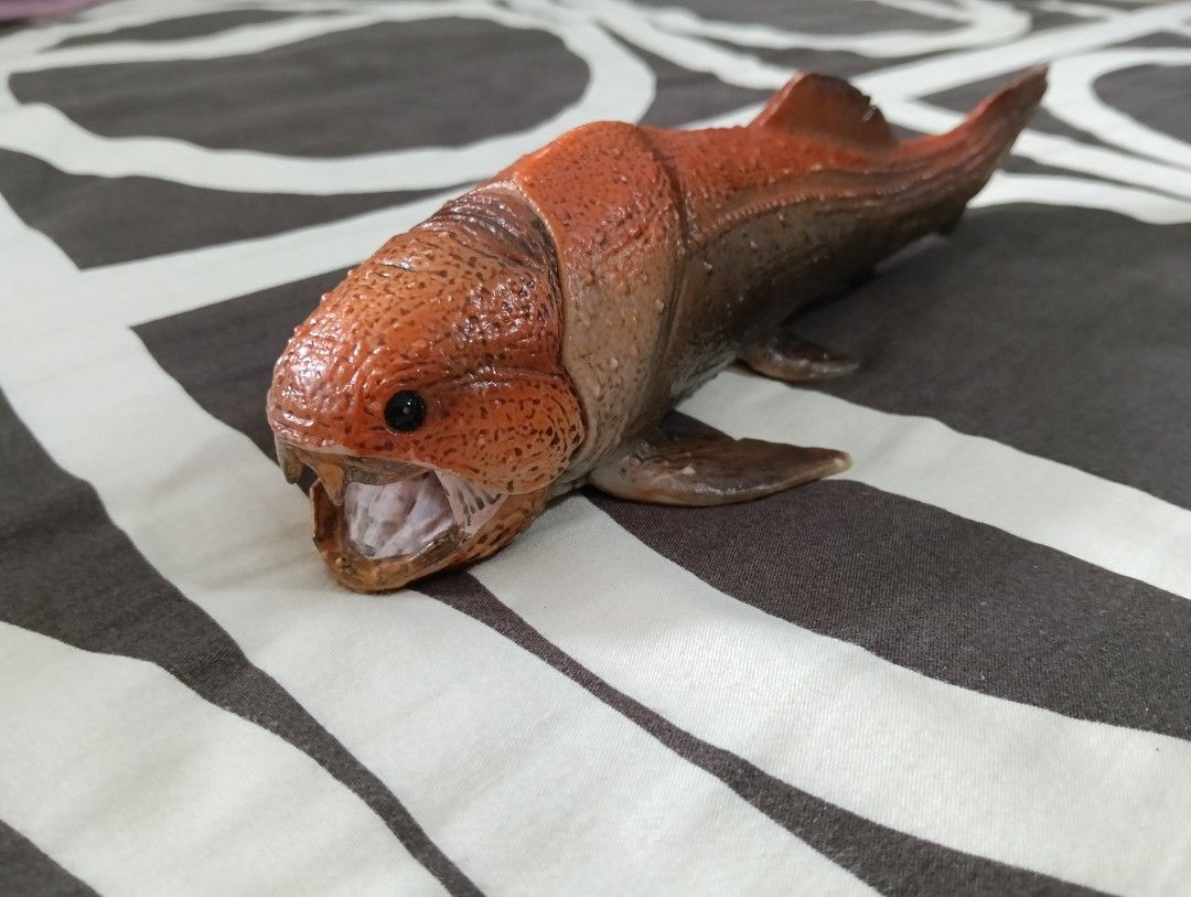 Dunkleosteus CollectA Figure, Hobbies & Toys, Toys & Games on Carousell