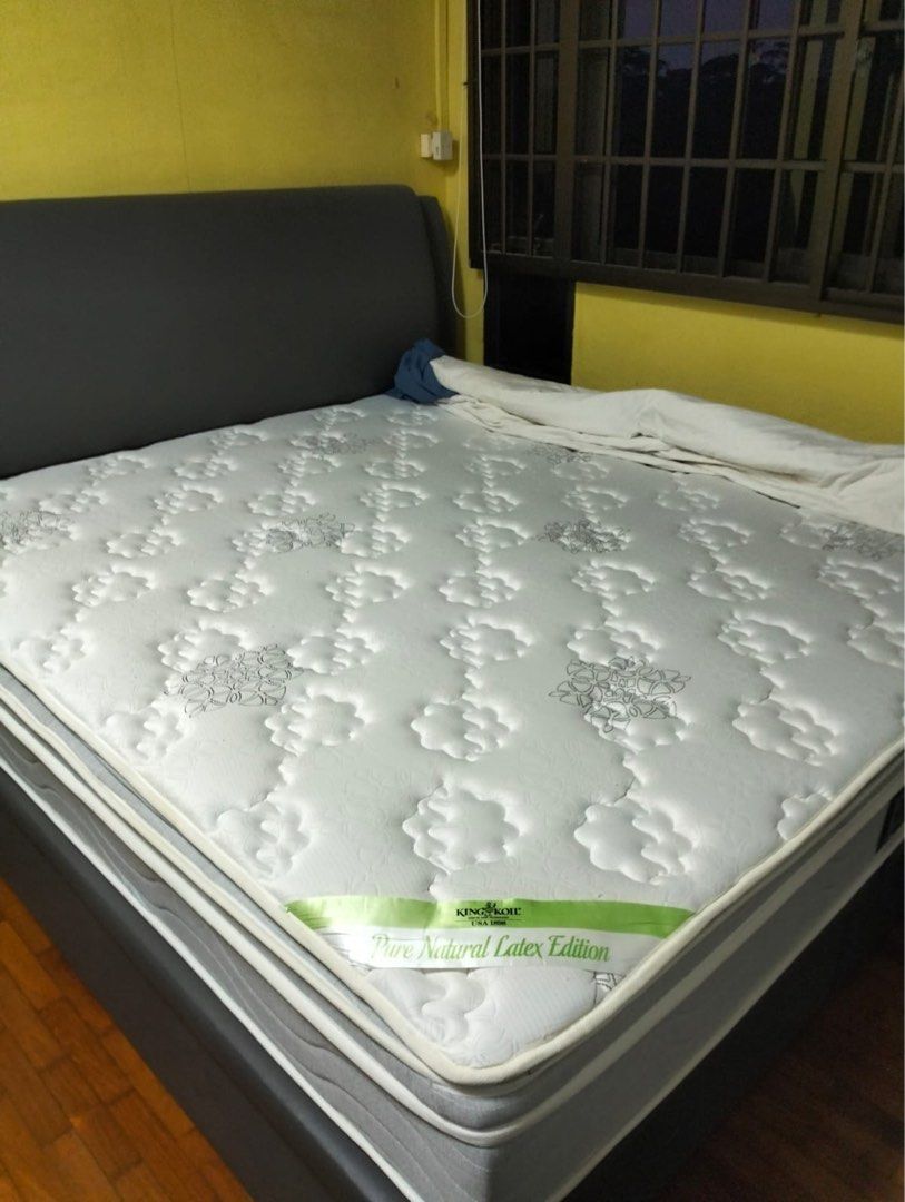 King Koil Pure Natural Latex Edition Mattress and Bed Frame, Furniture ...