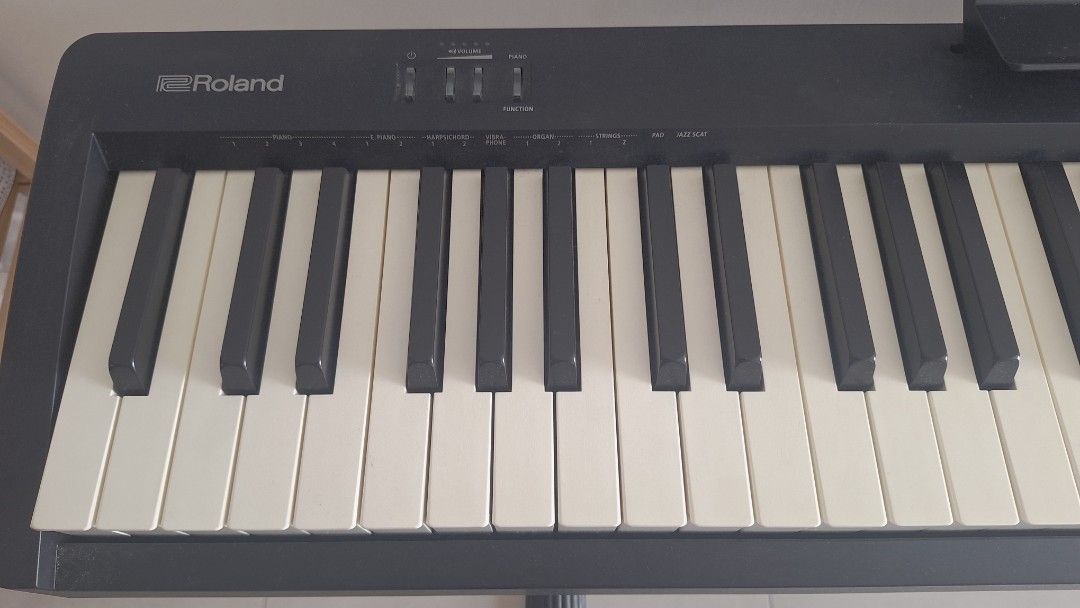 Roland FP-10 Digital Piano with Stand, Hobbies & Toys, Music & Media ...