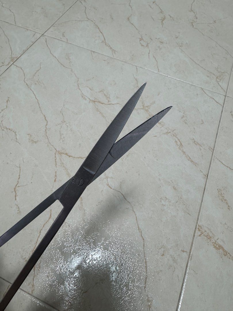 Aquascaping Scissors, Pet Supplies, Homes & Other Pet Accessories on ...
