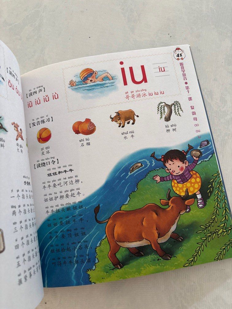 Chinese Hanyu Pinyin Book, Hobbies & Toys, Books & Magazines, Textbooks ...