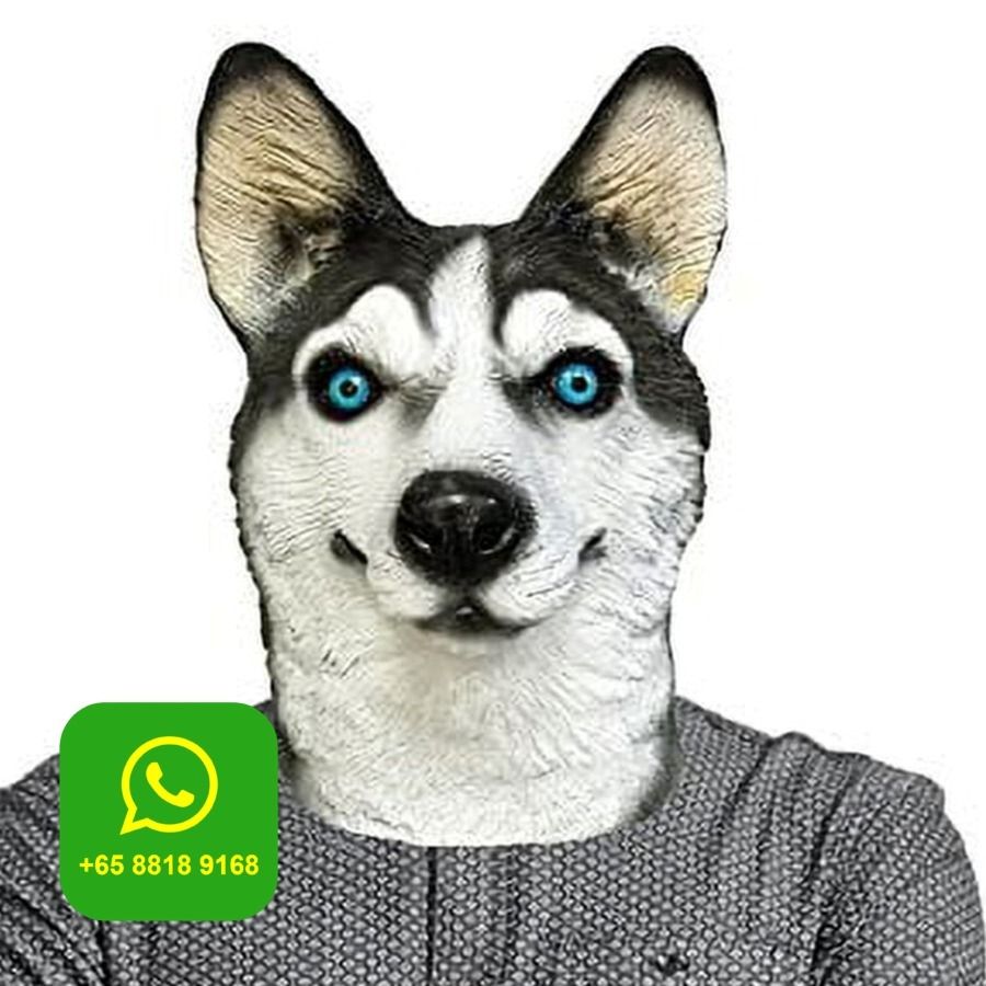 Latex Husky Mask, Hobbies & Toys, Occasions & Party Supplies on Carousell