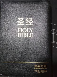 Holy Bible - Adventure Bible, Hobbies & Toys, Books & Magazines ...