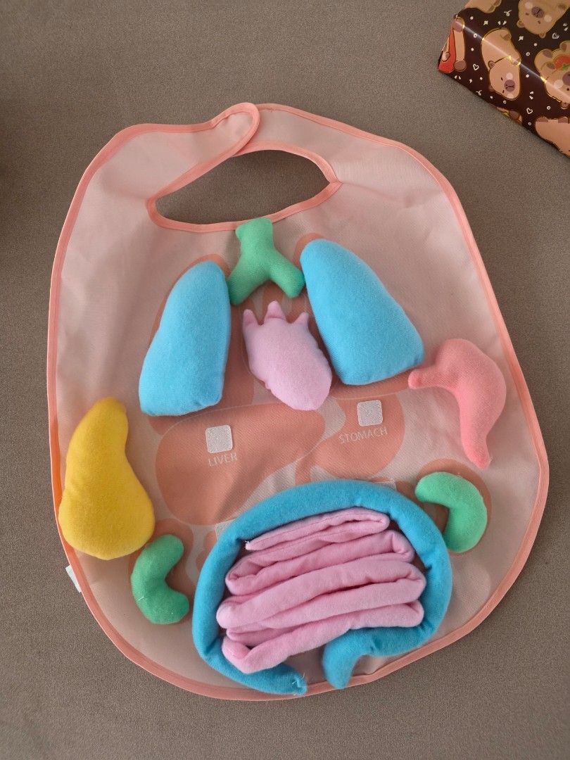 Anatomy Felt Toy with Removable Body Organs, Hobbies & Toys, Toys ...