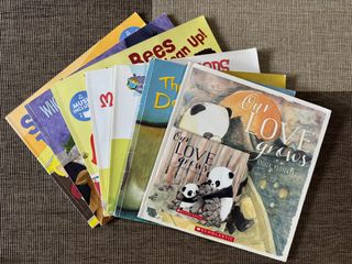 12 X (bundle of 12) Scholastic Magic School Bus & Other Books as shown ...