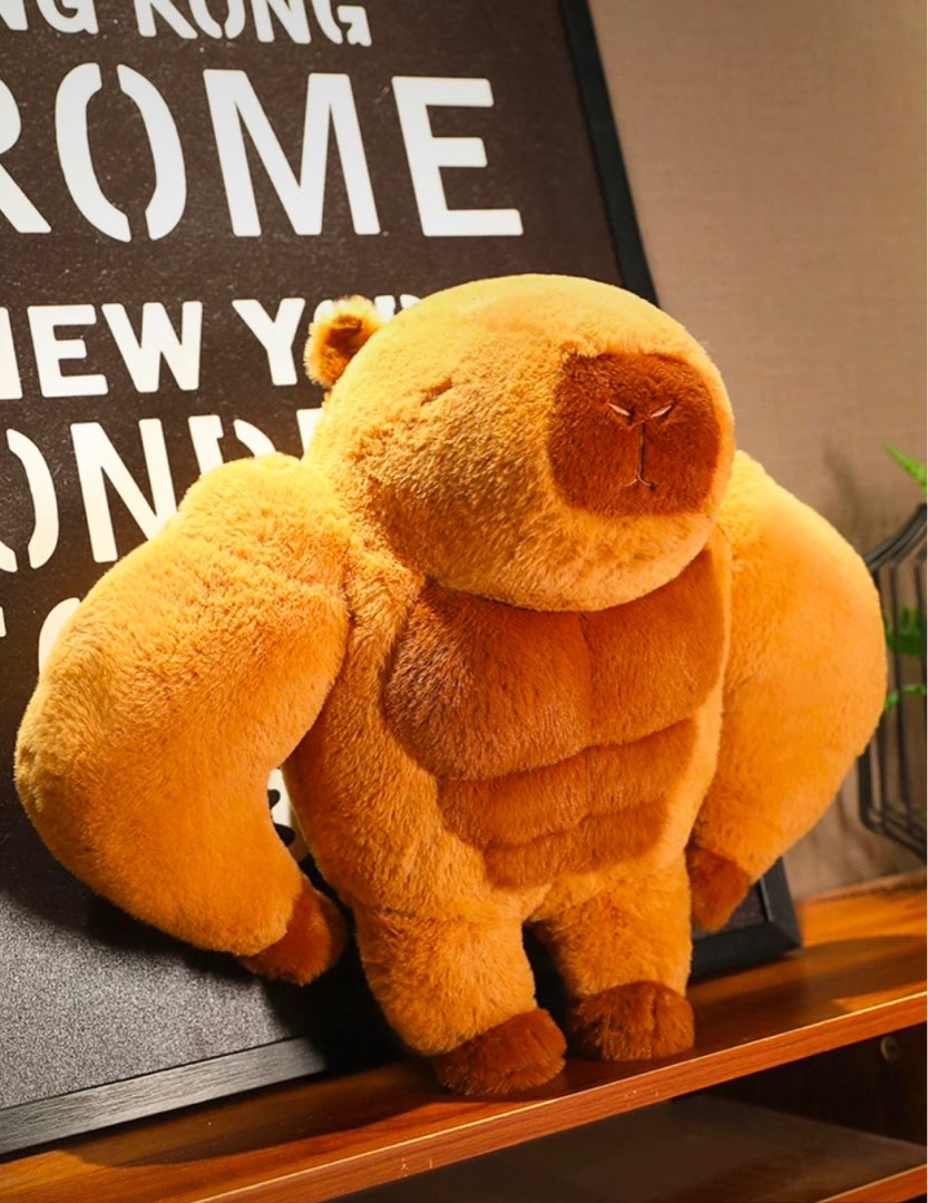 Capybara muscular soft toy, Hobbies & Toys, Toys & Games on Carousell