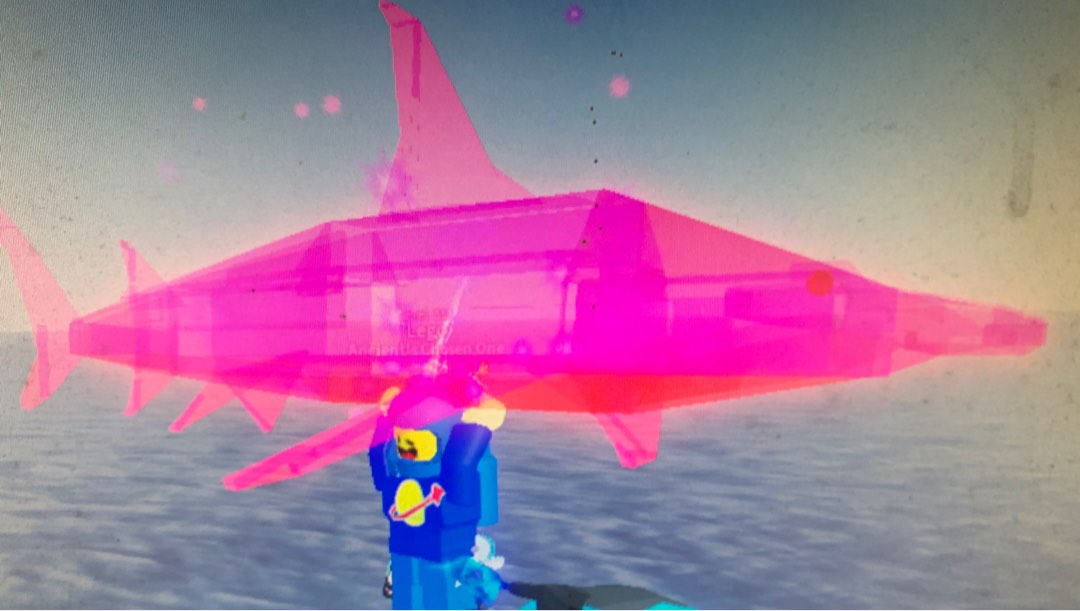 Fisch hammerhead shark (Rm 1), Video Gaming, Gaming Accessories, Game ...