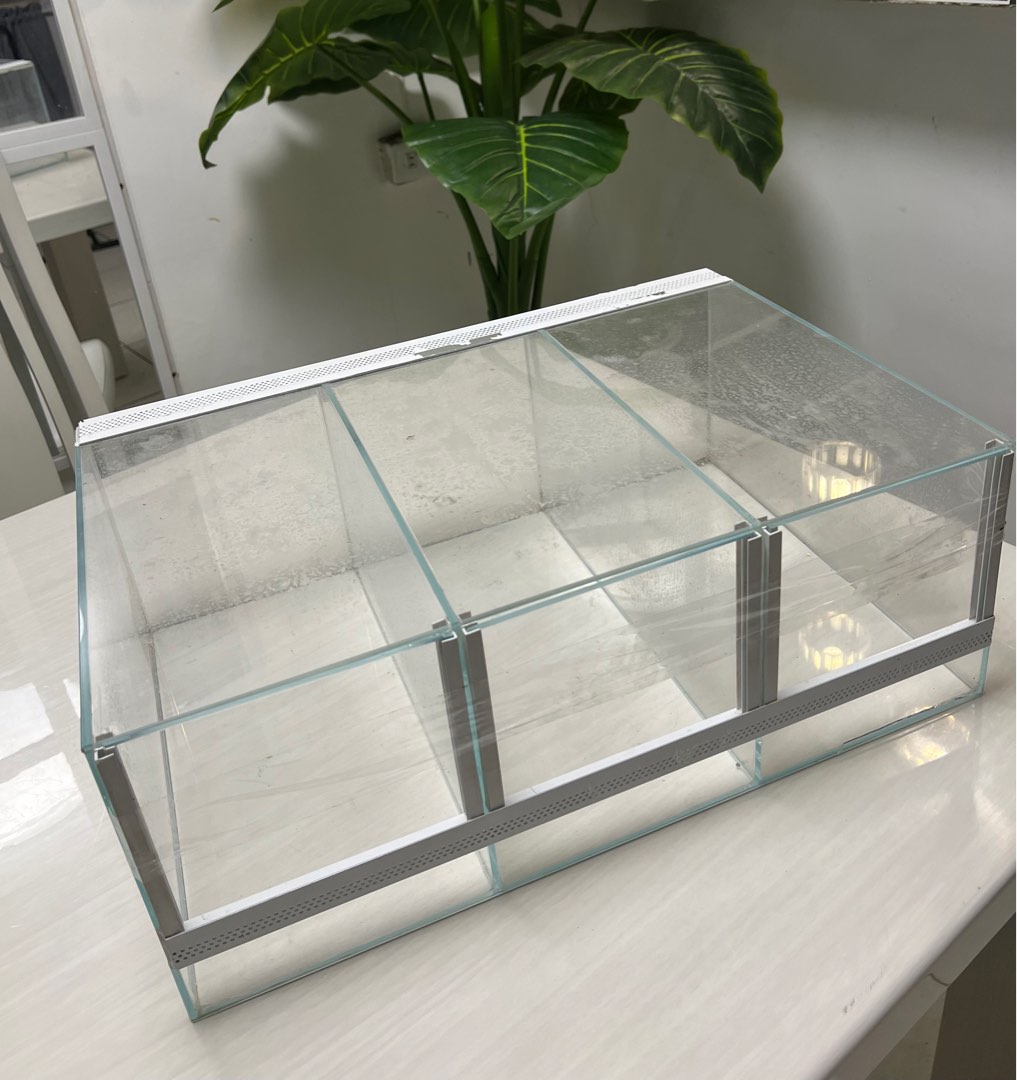 Glass Enclosure For Tarantula Japan, Pet Supplies, Homes & Other Pet ...