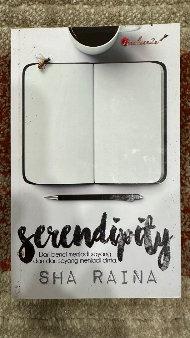 Novel Serendipity by Sha Raina, Hobbies & Toys, Books & Magazines ...