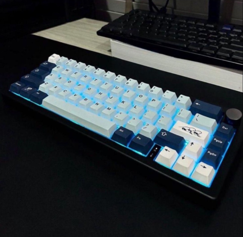 65% custom mechanical keyboard (Mizu keycaps), Computers & Tech, Parts & Accessories, Computer ...