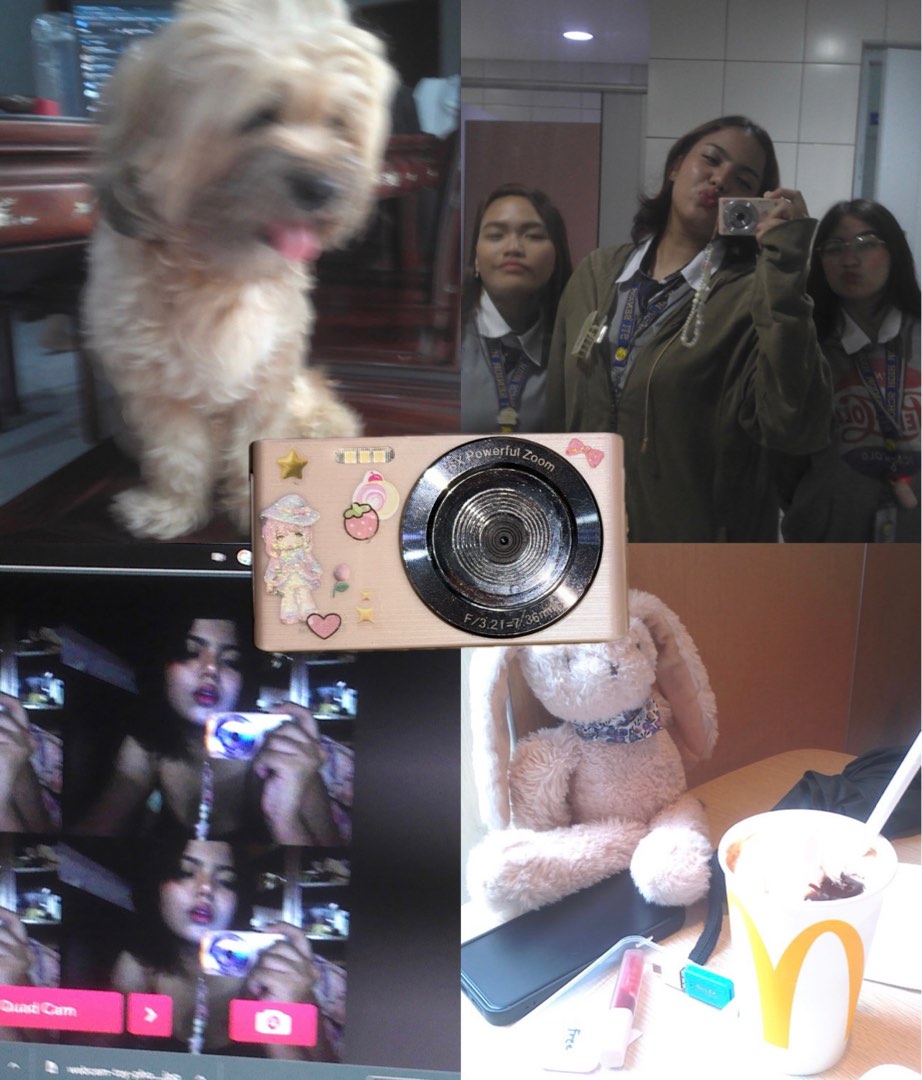 pink coquette digi cam ^__^, Photography, Cameras on Carousell