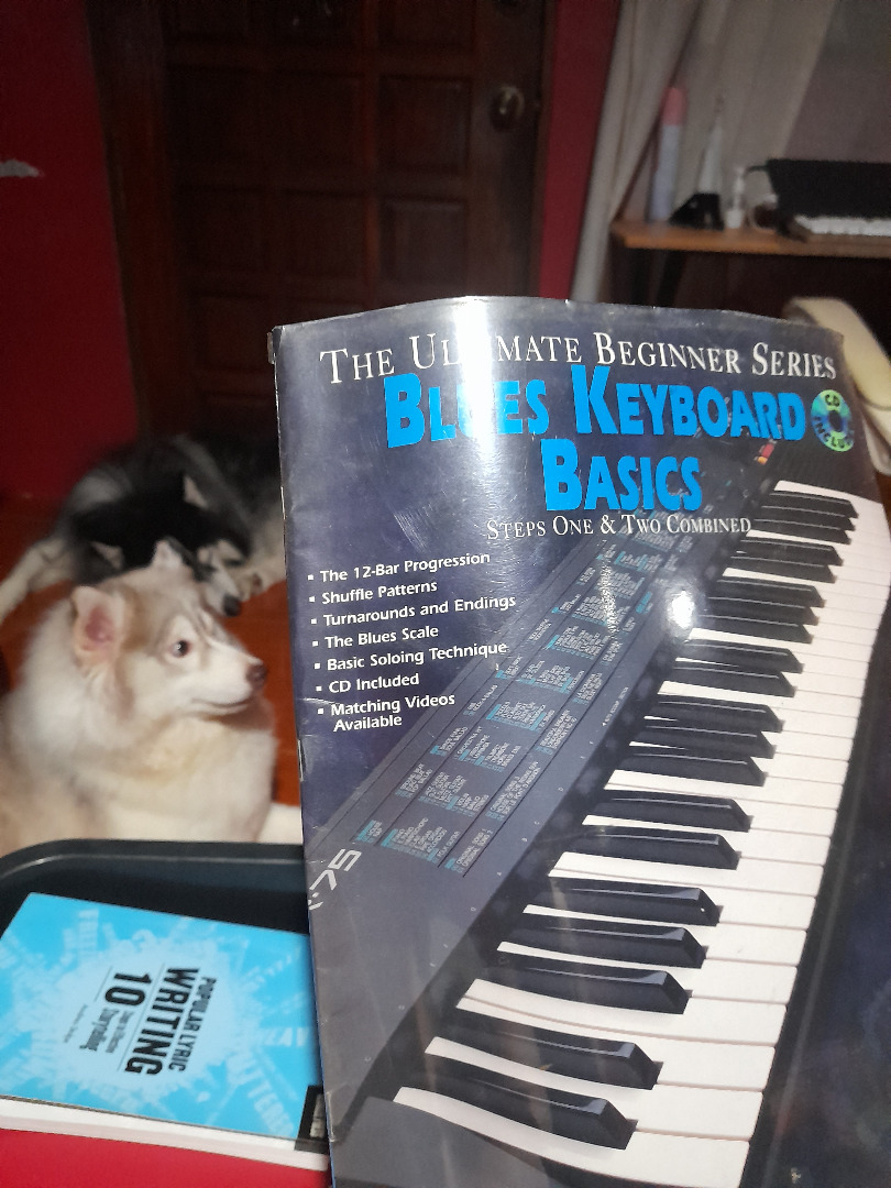 The Ultimate Beginner Series: Blues Keyboard Basics, Steps One & Two Combined (Ultimate Beginner ...