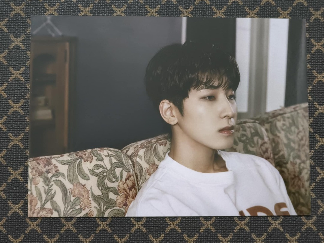 Wonwoo set - OFFICIAL Seventeen FML photocard set (tingi from kit album), Hobbies & Toys ...