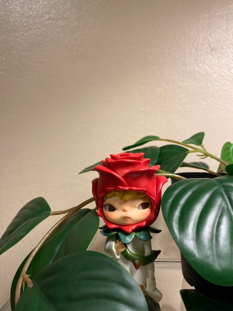 Hirono rose, Hobbies & Toys, Toys & Games on Carousell