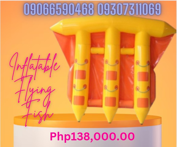 inflatable flying fish with 6 persons capacity, Everything Else ...