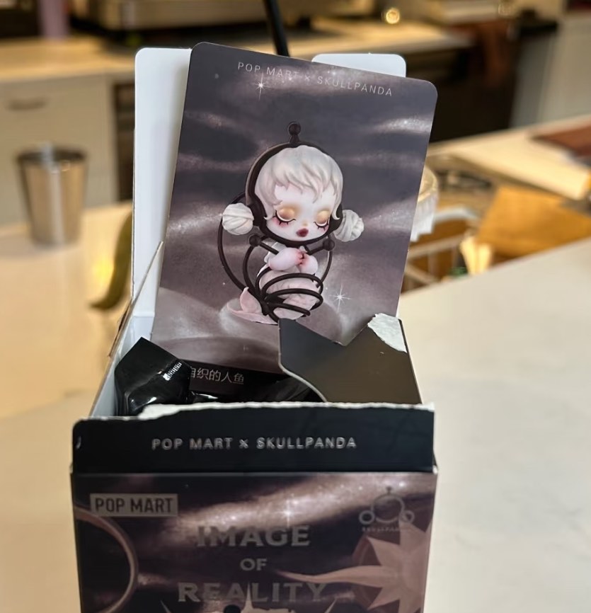 Skullpanda Mermaid Image of Reality, Hobbies & Toys, Toys & Games on ...