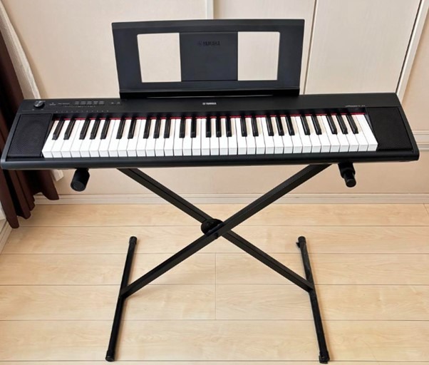 Yamaha Piaggero NP12 NP-12 Keyboard Piano comes with box, Hobbies ...